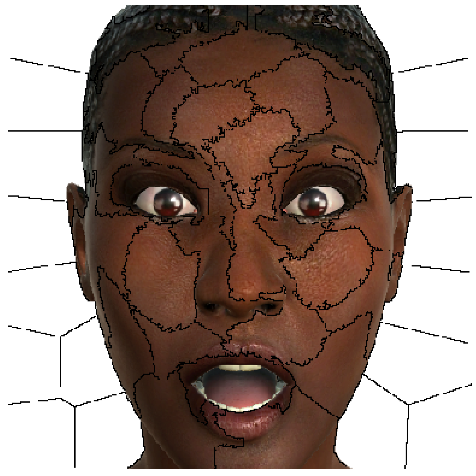 Understanding How CNNs Recognize Facial Expressions: A Case Study with ...