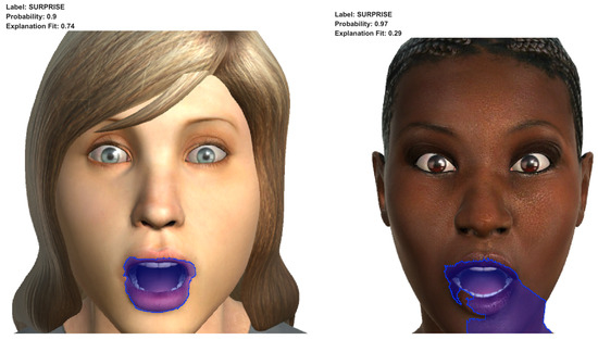 Understanding How CNNs Recognize Facial Expressions: A Case Study with ...
