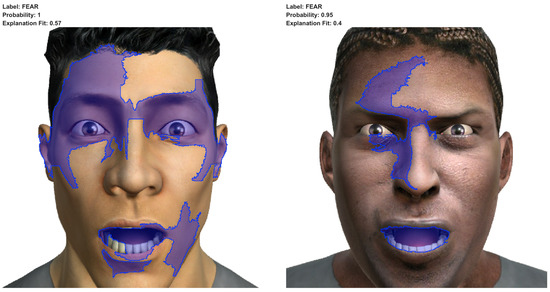 Understanding How CNNs Recognize Facial Expressions: A Case Study with ...