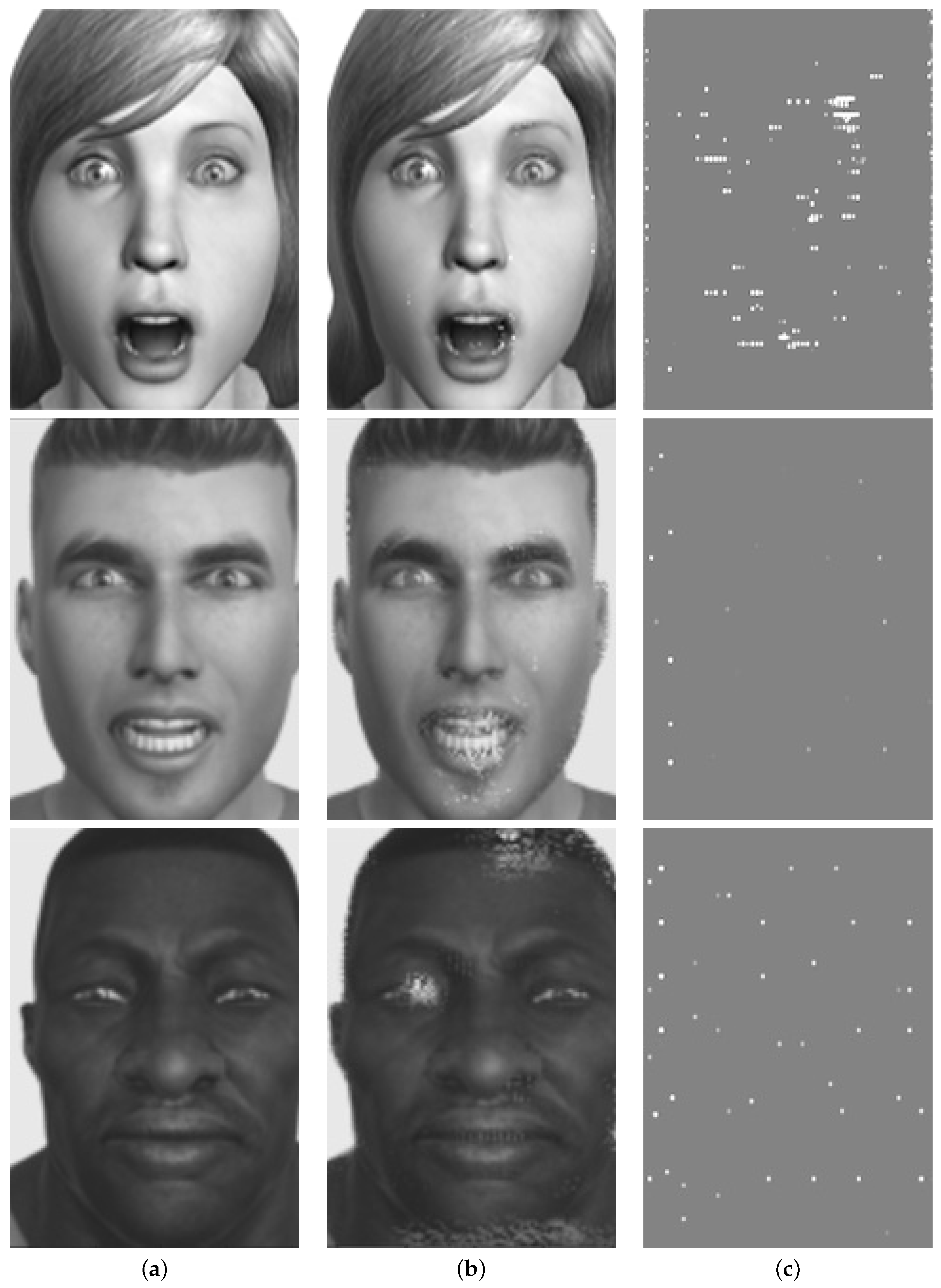 Understanding How CNNs Recognize Facial Expressions: A Case Study with ...