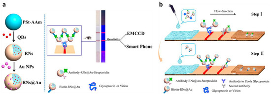 Nanosphere Structures Using Various Materials: A Strategy for Signal ...