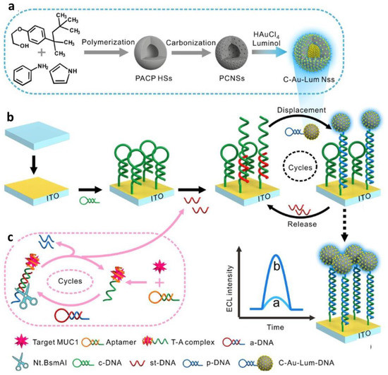 Nanosphere Structures Using Various Materials: A Strategy for Signal ...