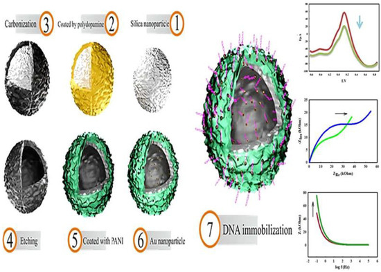 Nanosphere Structures Using Various Materials: A Strategy for Signal ...