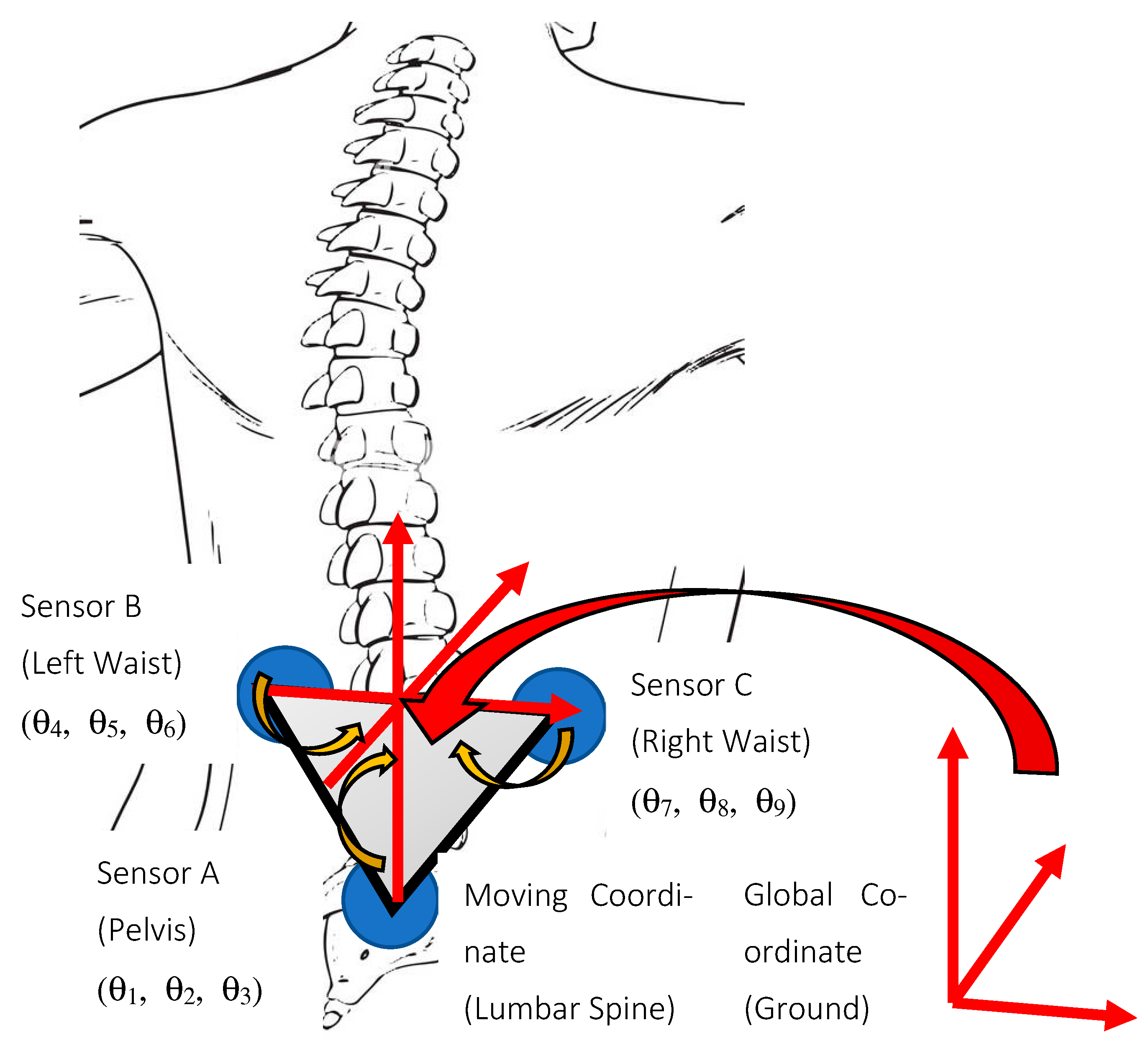 Sensors Free Full Text Extraction Of Lumbar Spine Motion Using A 3