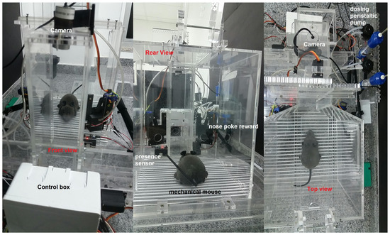 Sensors | Free Full-Text | Improved Behavioral Box and Sensing ...