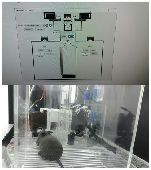 Sensors | Free Full-Text | Improved Behavioral Box and Sensing ...