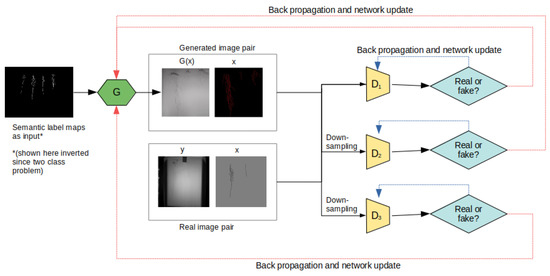 Plant Root Phenotyping Using Deep Conditional GANs and Binary Semantic Segmentation