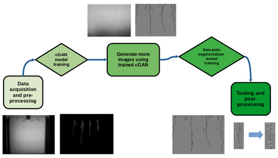 Plant Root Phenotyping Using Deep Conditional GANs and Binary Semantic Segmentation