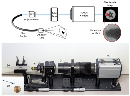 Honeycomb Artifact Removal Using Convolutional Neural Network for Fiber Bundle Imaging