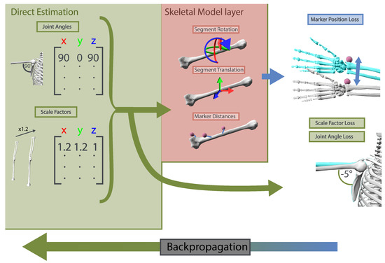 Towards Single Camera Human 3D-Kinematics