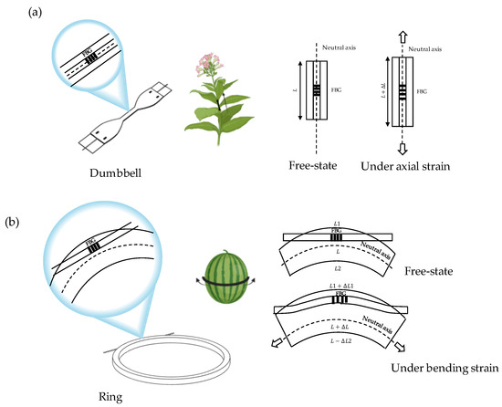 Plant Growth Monitoring: Design, Fabrication, and Feasibility ...