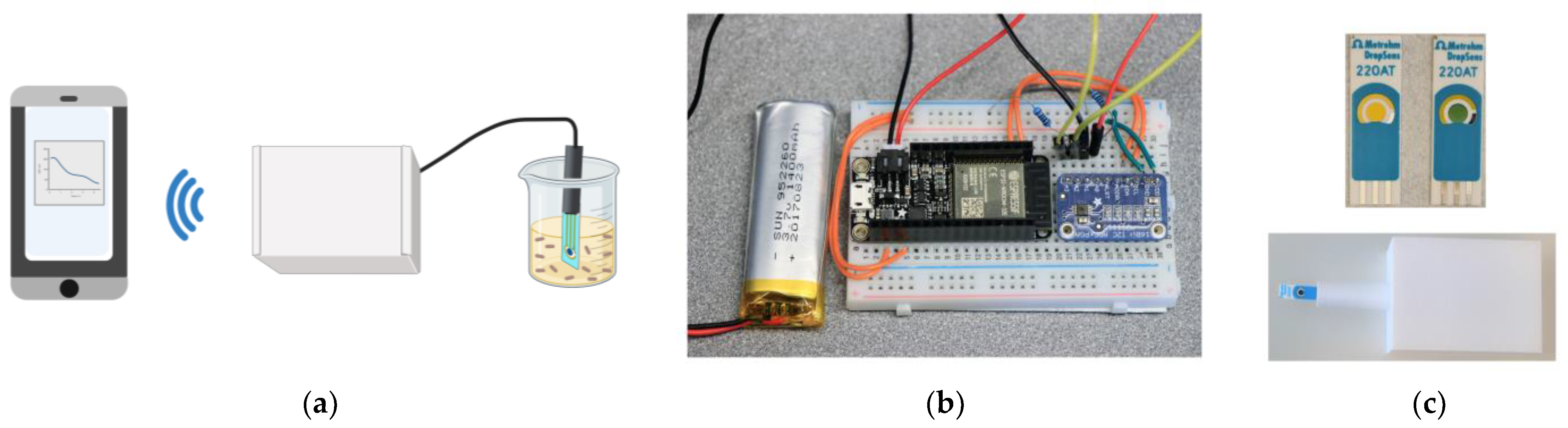 Portable Prussian Blue-Based Sensor for Bacterial Detection in Urine