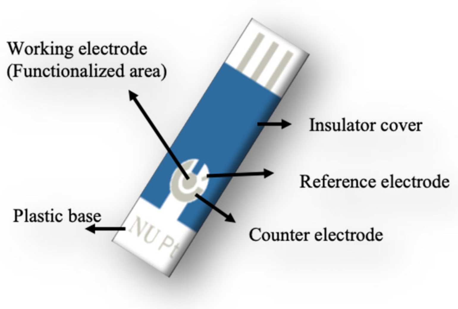 A Rapid Label-Free Disposable Electrochemical Salivary Point-of-Care ...