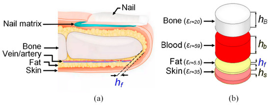 Assessment of Finger Fat Pad Effect on CSRR-Based Sensor Scattering ...