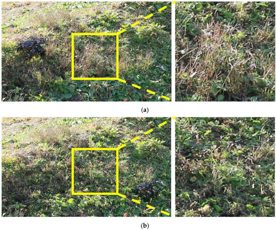 Grass Cutting Robot for Inclined Surfaces in Hilly and Mountainous Areas