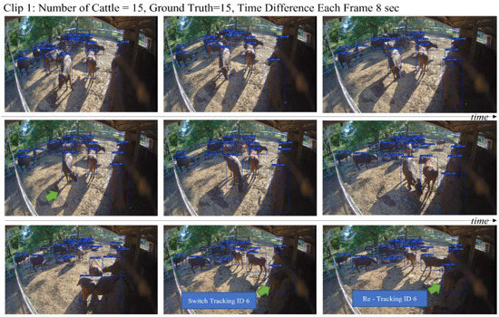 Comparing State-of-the-Art Deep Learning Algorithms for the Automated Detection and Tracking of ...