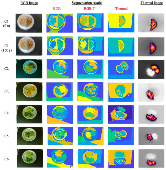 Food Image Segmentation Using Multi-Modal Imaging Sensors with Color and Thermal Data