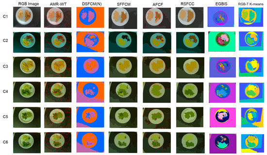 Food Image Segmentation Using Multi-Modal Imaging Sensors with Color ...
