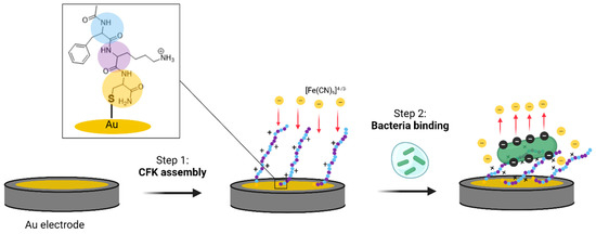 Impedimetric Bacterial Detection Using Random Antimicrobial Peptide ...