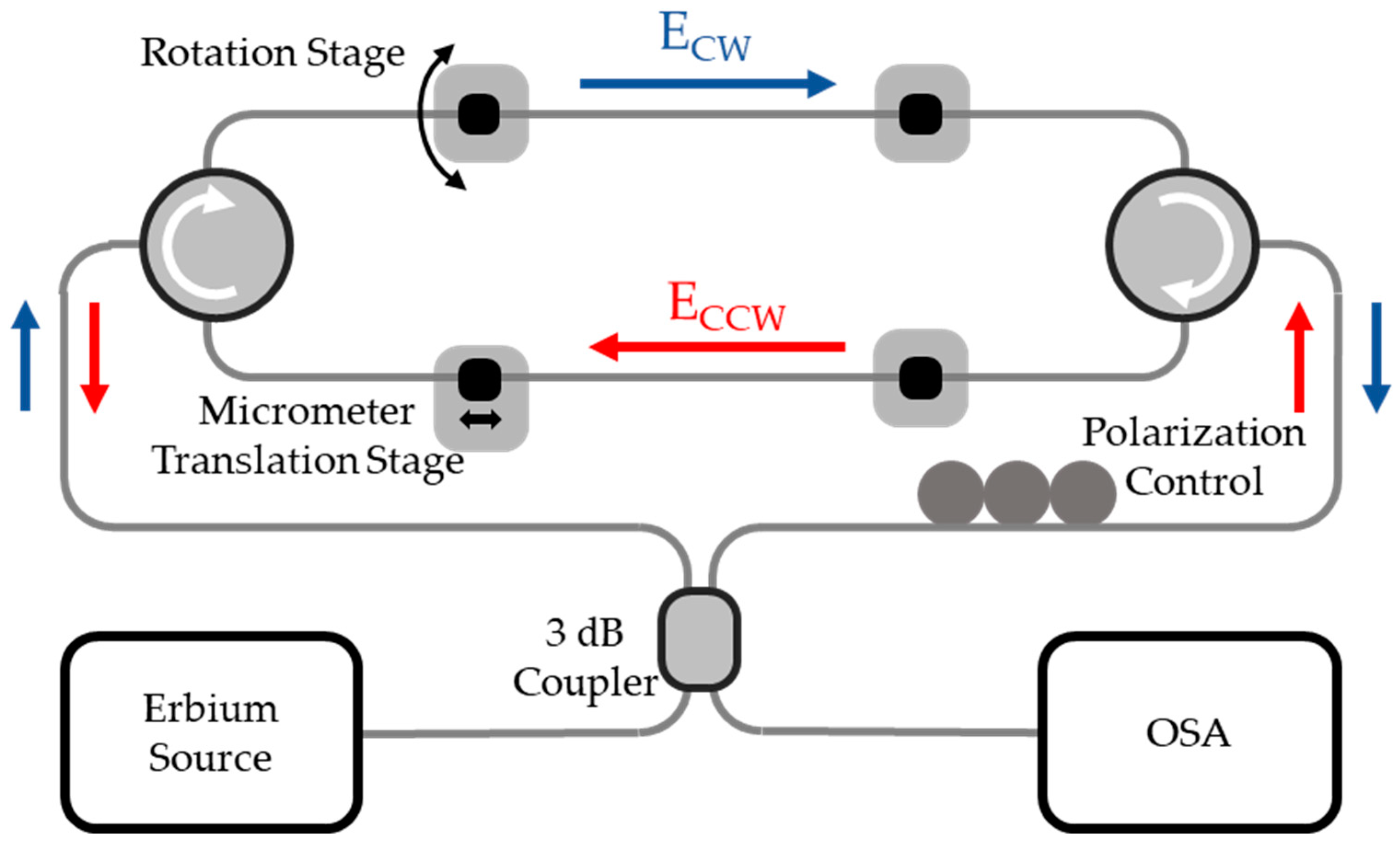 Sensors | Free Full-Text | Fiber Loop Mirror Based on Optical Fiber ... Sensors | Free Full-Text | Fiber Loop Mirror Based on Optical Fiber ...