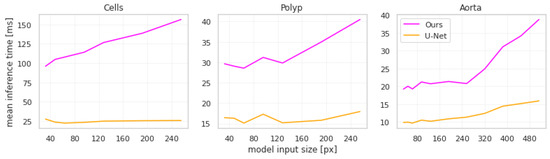 Segment-then-Segment: Context-Preserving Crop-Based Segmentation for Large Biomedical Images