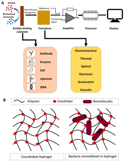 Recent Implementations of Hydrogel-Based Microbial Electrochemical ...