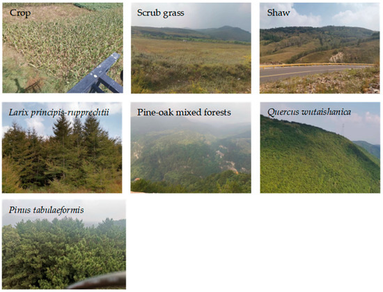 Rapid Identification of Main Vegetation Types in the Lingkong Mountain ...