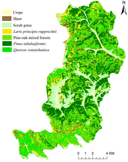 Rapid Identification of Main Vegetation Types in the Lingkong Mountain ...