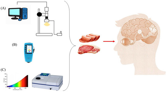 Sensors | Free Full-Text | Applications of Electronic Nose, Electronic Eye and Electronic Tongue ...