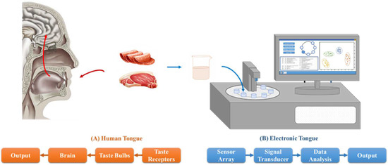 Sensors | Free Full-Text | Applications of Electronic Nose, Electronic ...