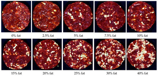 Raw Beef Patty Analysis Using Near-Infrared Hyperspectral Imaging ...
