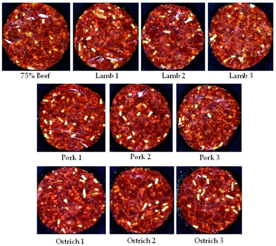 Raw Beef Patty Analysis Using Near-Infrared Hyperspectral Imaging ...