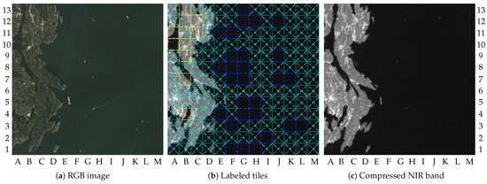 Satellite Image Compression Guided by Regions of Interest