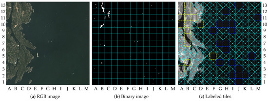 Satellite Image Compression Guided by Regions of Interest