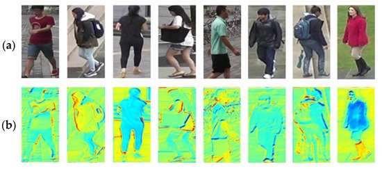 Person Re-Identification Based on Contour Information Embedding