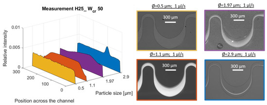 Dean-Flow Affected Lateral Focusing and Separation of Particles and ...