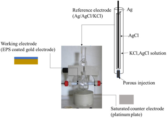 Elaboration and Characterization of a New Heavy Metal Sensor ...