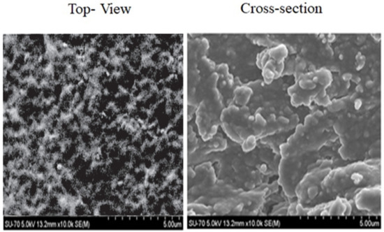 Elaboration and Characterization of a New Heavy Metal Sensor ...