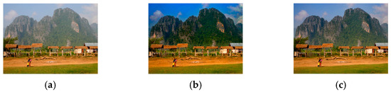 Sensors | Free Full-Text | Using Whale Optimization Algorithm and Haze Level Information in a ...