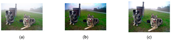 Sensors | Free Full-Text | Using Whale Optimization Algorithm and Haze Level Information in a ...