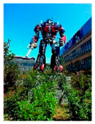 Sensors | Free Full-Text | Using Whale Optimization Algorithm and Haze Level Information in a ...