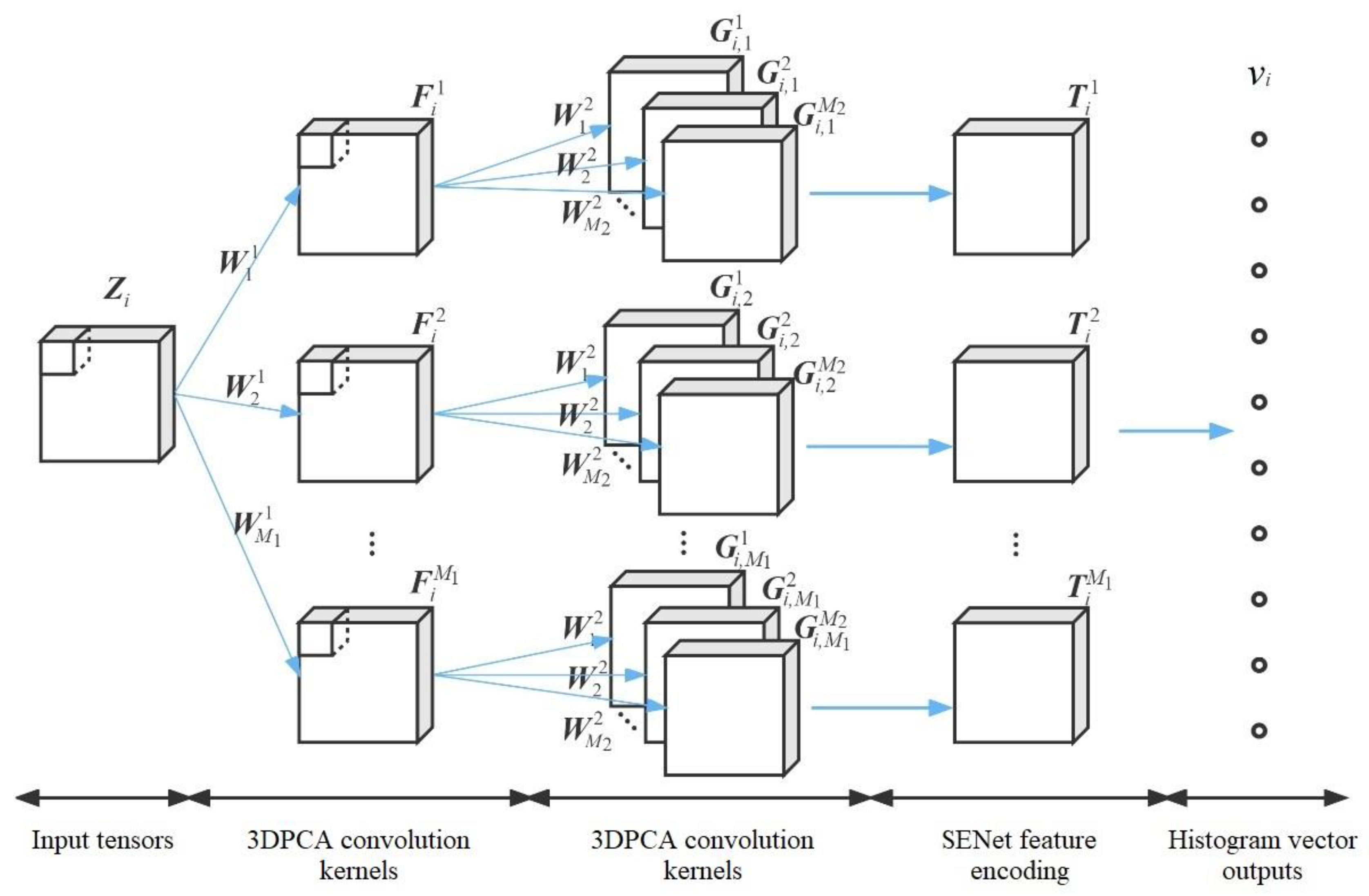A Video Sequence Face Expression Recognition Method Based on Squeeze-and-Excitation and 3DPCA ...