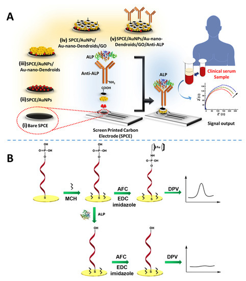 Electrochemical (Bio)Sensing Devices for Human-Microbiome-Related ...