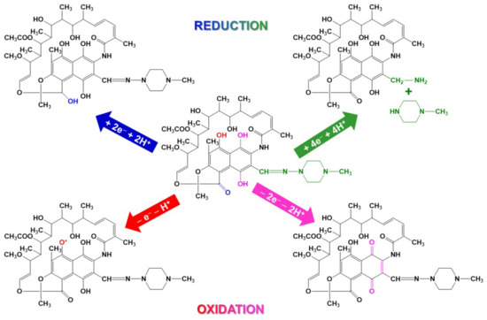 Sensors | Free Full-Text | State of the Art on Developments of (Bio ...