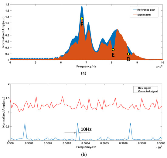 An Investigation of All Fiber Free-Running Dual-Comb Spectroscopy