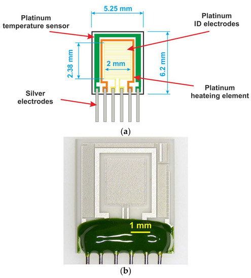 Sensors | Free Full-Text | Gas Sensor with Different Morphology of PANI ...