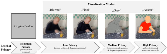 Shapes of You? Investigating the Acceptance of Video-Based AAL ...