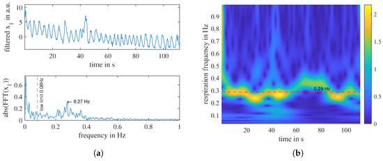 Frequency Comb-Based Ground-Penetrating Bioradar: System Implementation ...