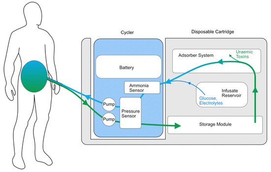 Wearables in Nephrology: Fanciful Gadgetry or Prêt-à-Porter?