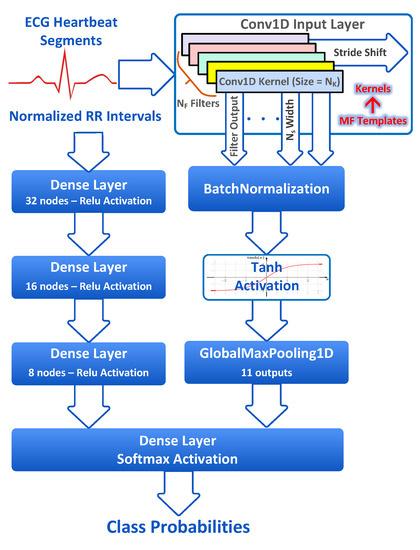A Tiny Matched Filter-Based CNN for Inter-Patient ECG Classification and Arrhythmia Detection at ...